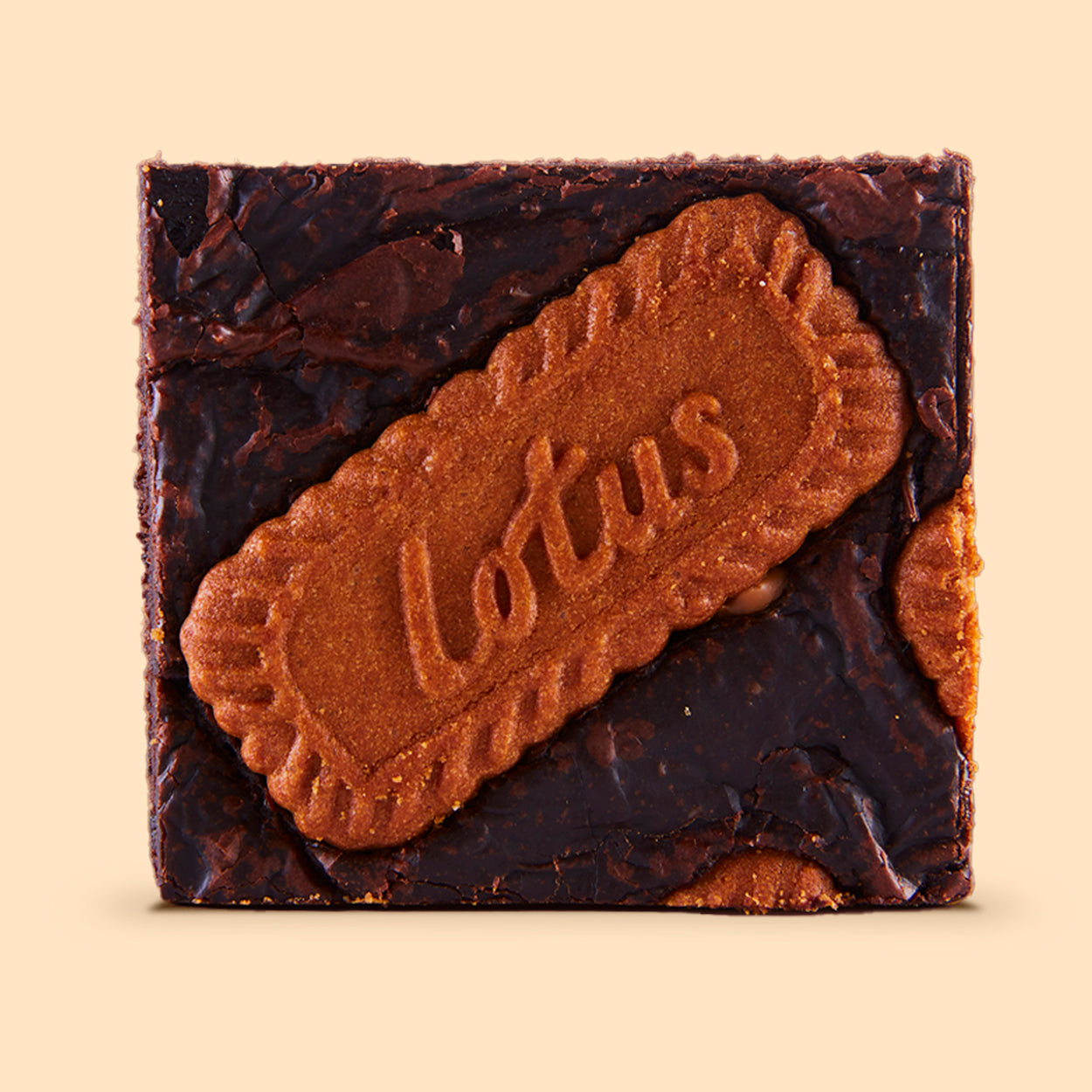 LOTUS VEGAN BROWNIE